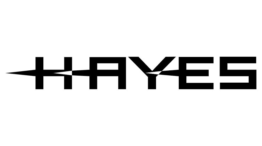 Brzdové destičky pro brzdy Hayes | BIKEMAX.cz
